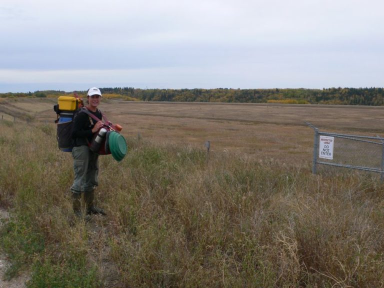 Newsletter #12 Saskatchewan Landing on Lake Diefenbaker to E.B ...